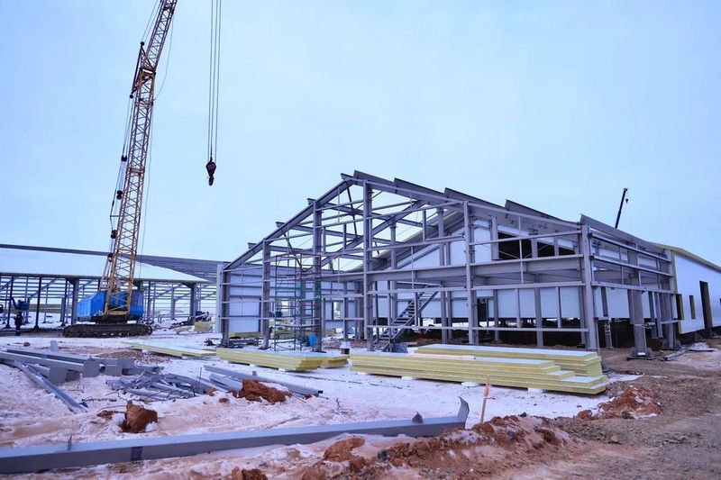 Қарағанды облысында ірі ауыл шаруашылығы кластері қалыптасуда